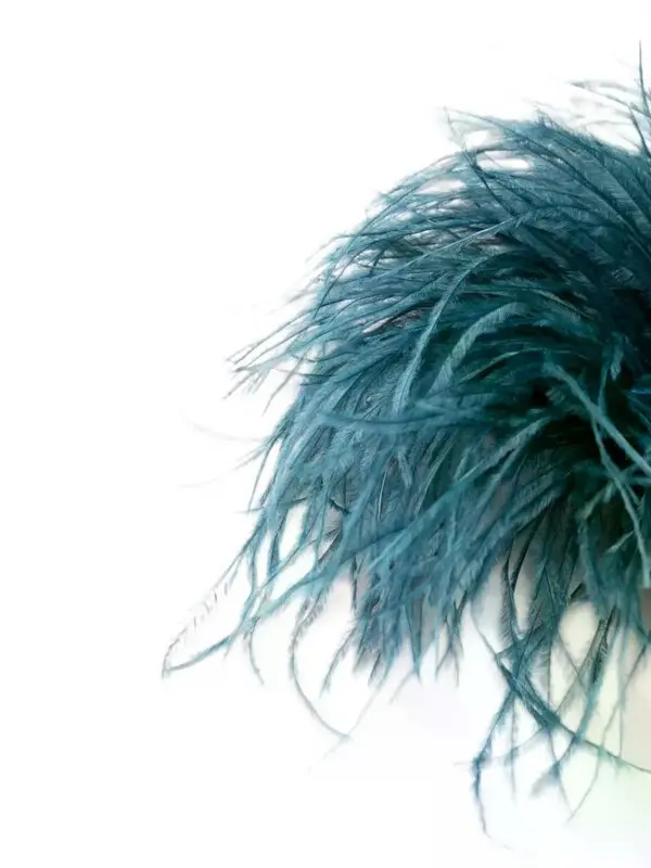 GIANLUCA CAPANNOLO Feather-trim Brooch