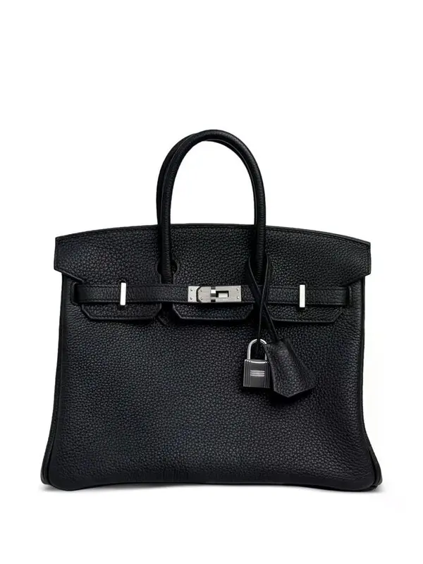 Hermès 2025 Birkin 25 Handbag