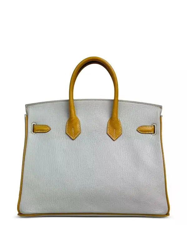 Hermès 2019 Birkin 25 Chèvre Mysore Handbag