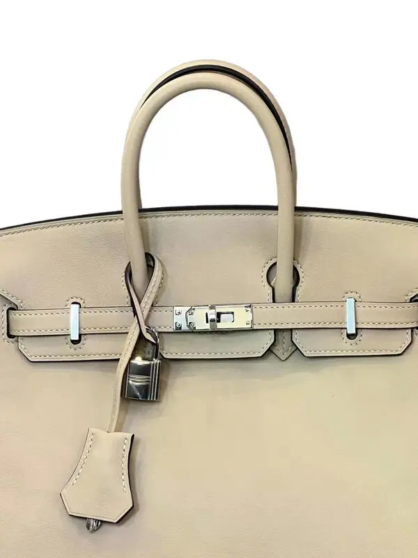 Hermès 2017 Birkin 25 Swift Handbag