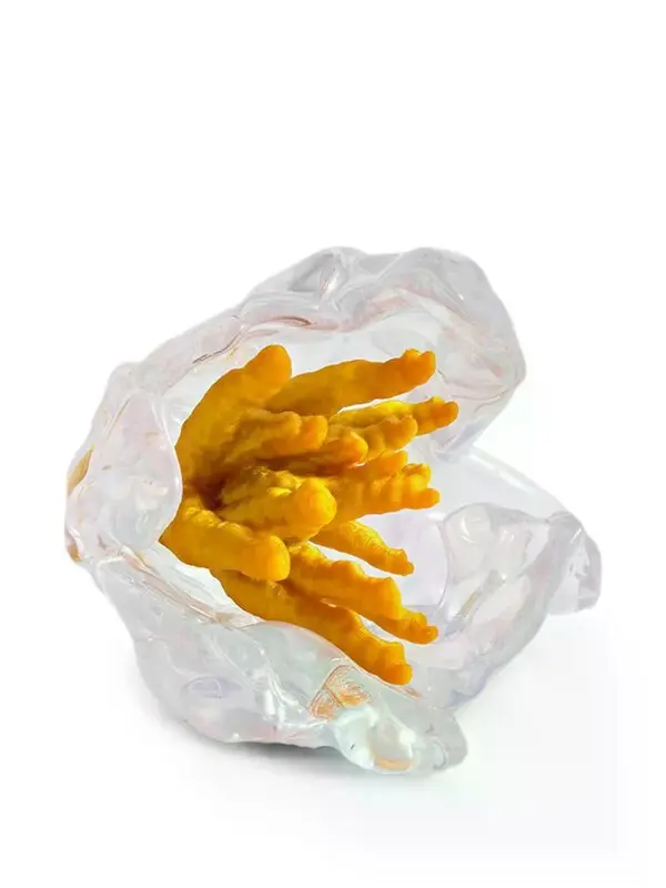 LA MANSO X Tetier Parrot Transparent Growing Ring - Orange