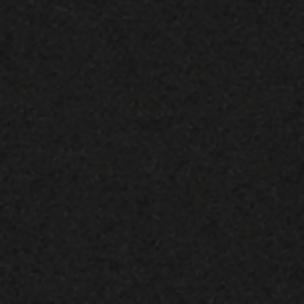 Loewe Ruche-detail High-neck Top