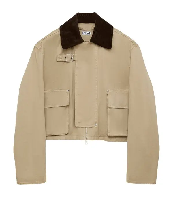 Loewe Cotton-suede Cropped Parka