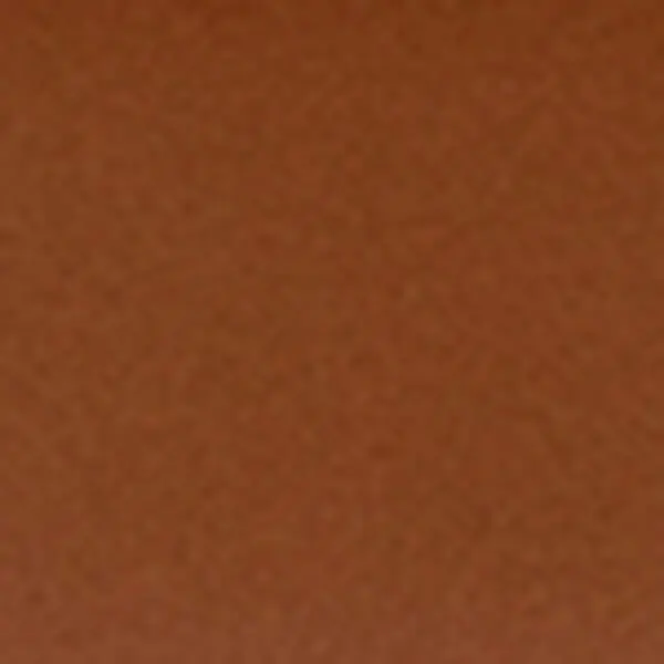 Loewe Leather Reversible Anagram Bombé Belt