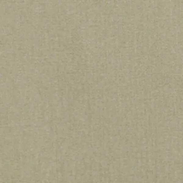 Loewe Cotton Anagram Shirt