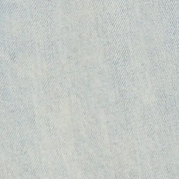 Loewe Denim Anagram Shorts