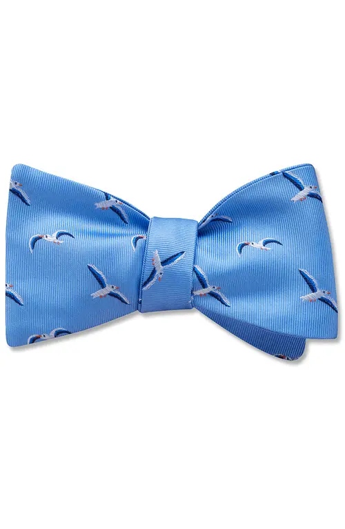 BEAU TIES OF VERMONT Gull Island Bow Tie - Self-tie