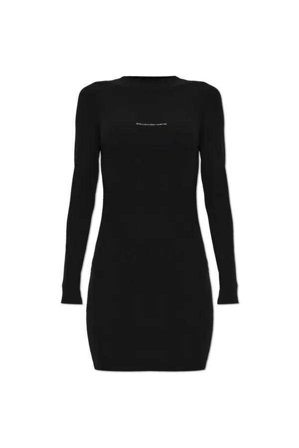 Alexander Wang Long Sleeve Dress
