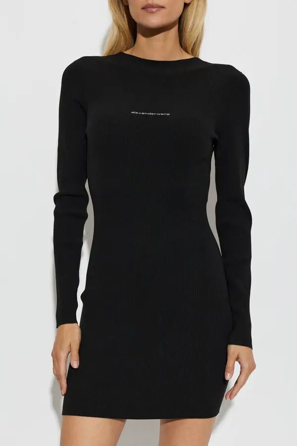 Alexander Wang Long Sleeve Dress