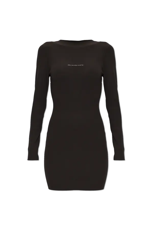 Alexander Wang Long Sleeve Dress