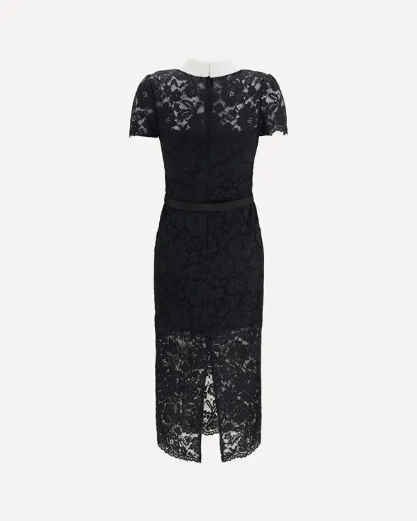 SELF-PORTRAIT Lace Contrast Collar Midi Dress