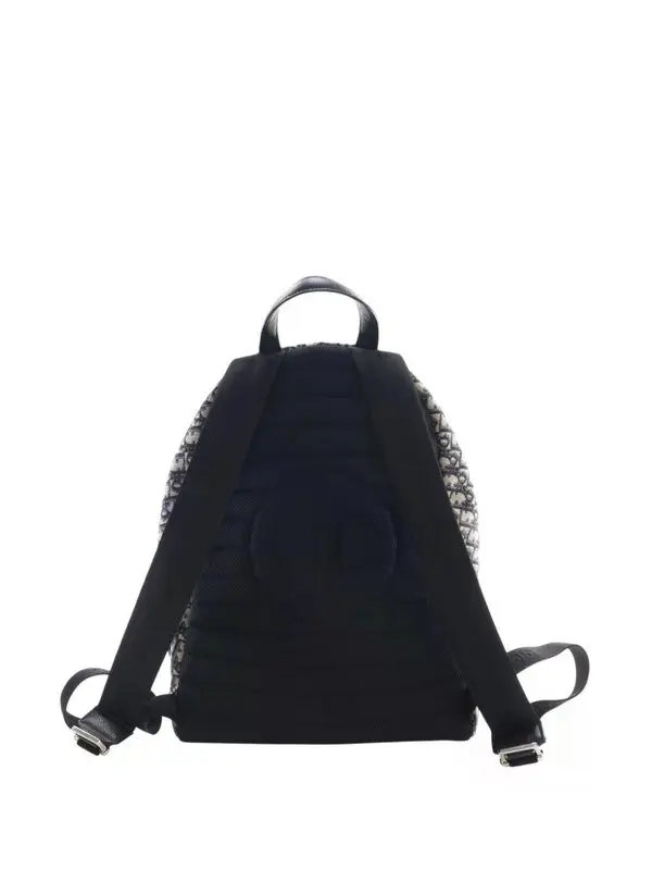 Dior 2020 Oblique Canvas Rider Backpack