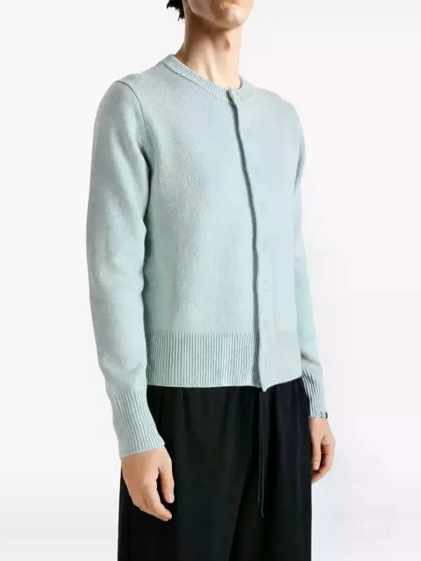 Extreme Cashmere N°435 Little Lamb Button-up Cardigan