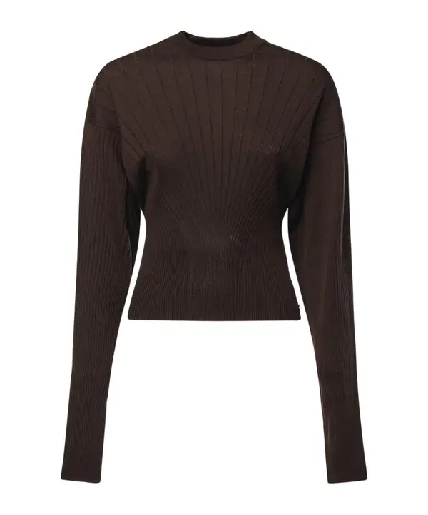 Sportmax Long-sleeved Knitwear