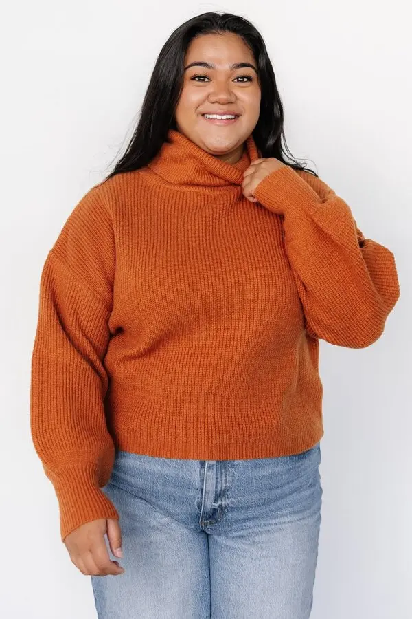 LUMIERE Malcolm Turtleneck Sweater