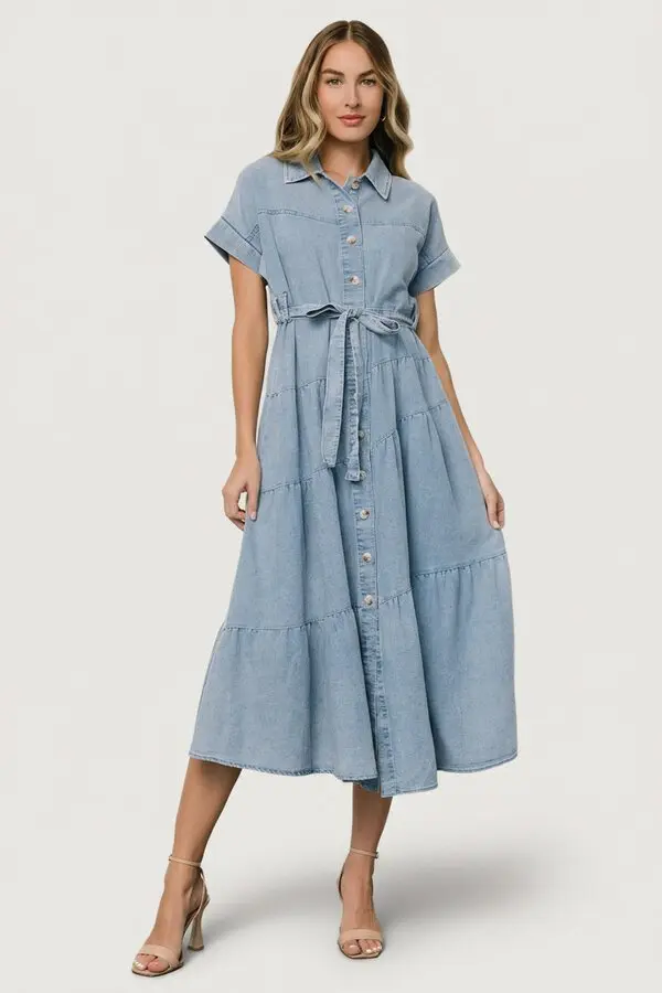 POLAGRAM Logan Button Up Dress - Denim