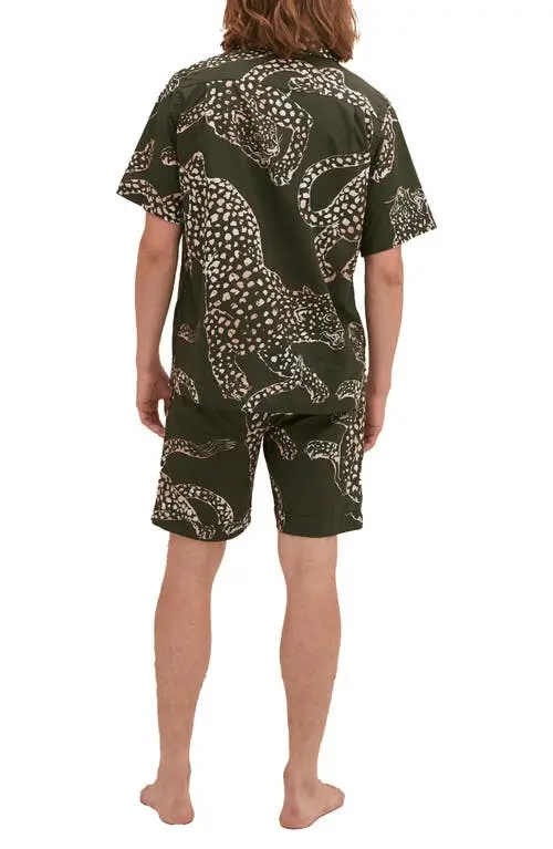 Desmond & Dempsey Cuban Print Cotton Short Pajamas