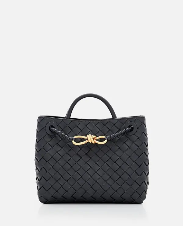 Bottega Veneta Andiamo Small Bag
