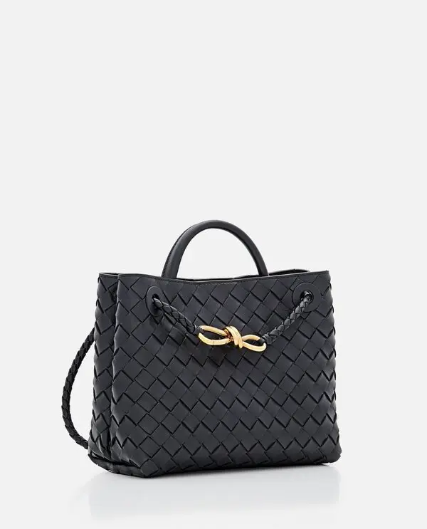 Bottega Veneta Andiamo Small Bag
