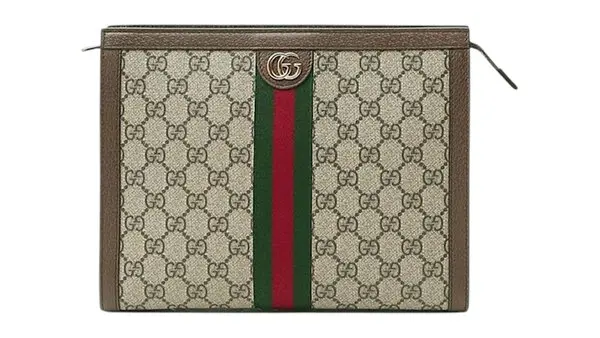 Gucci Ophidia Pouch