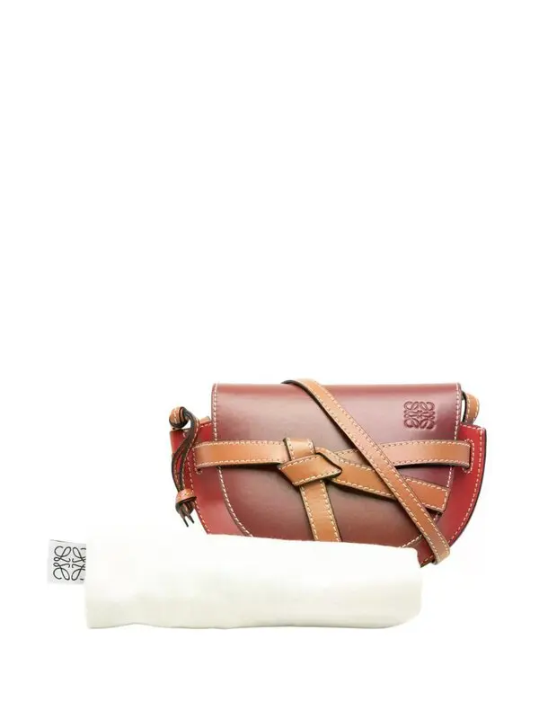 Loewe 2019 Mini Tricolor Leather Gate Crossbody Bag