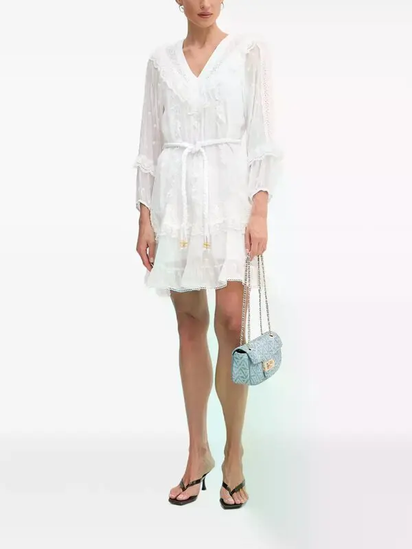 Hale Bob Xin Ruffled Lace-trim Mini Dress