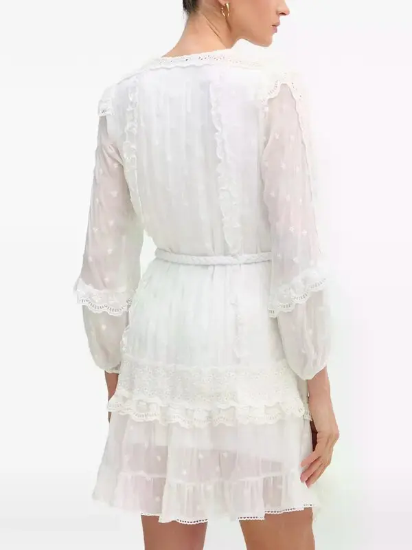 Hale Bob Xin Ruffled Lace-trim Mini Dress
