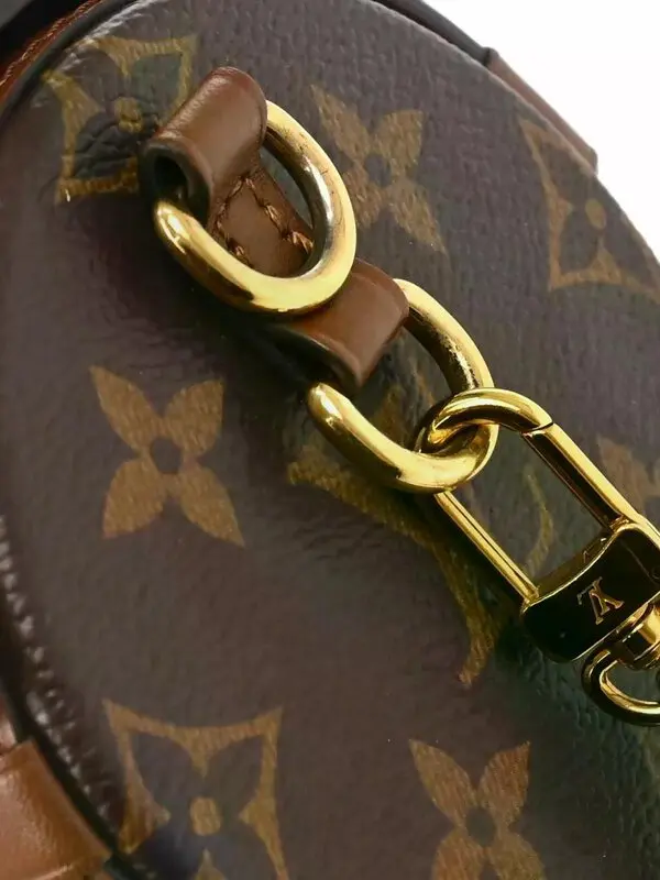LOUIS VUITTON 2010-2020s Papillon Trunk Monogram Shoulder Bag
