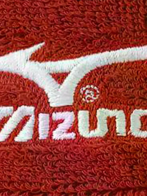 Mizuno Terry Wristbands