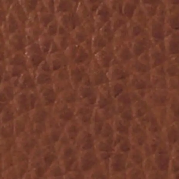 Mulberry Leather Darley Camera Bag