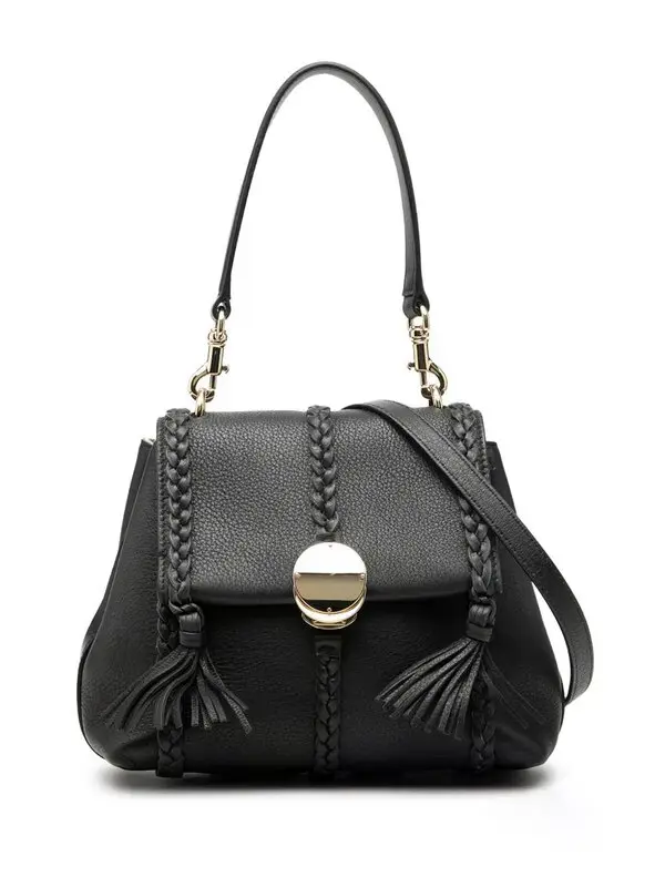 Chloé 2023 Small Grained Calfskin Penelope Soft Satchel