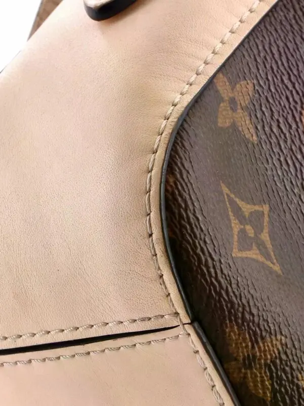 LOUIS VUITTON Saintonge Handbag Monogram Canvas With Leather Crossbody Bag - Neutrals