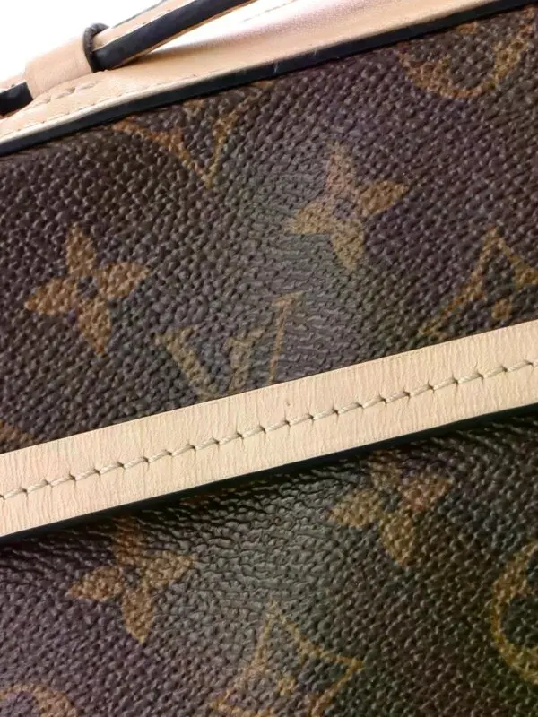 LOUIS VUITTON Saintonge Handbag Monogram Canvas With Leather Crossbody Bag - Neutrals