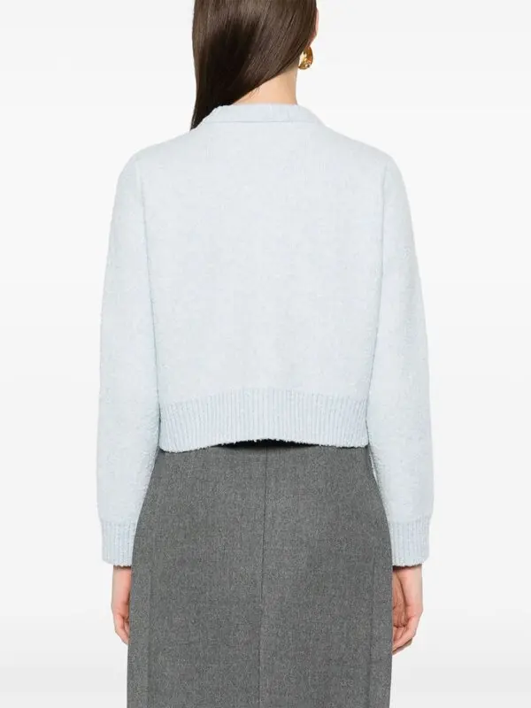 Bottega Veneta Long Sleeved Crewneck Cardigan