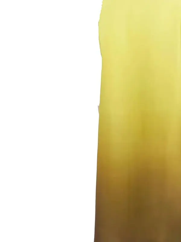 Sportmax V-neck Top