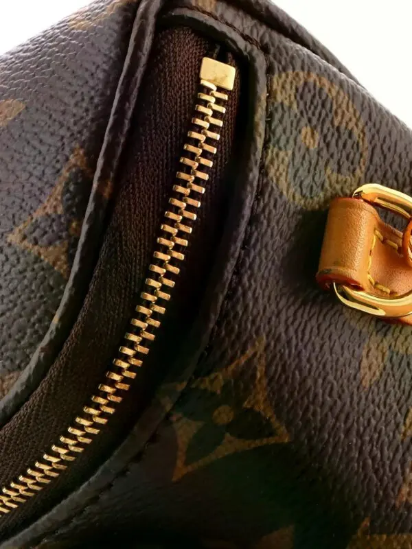 LOUIS VUITTON Bum Bag Monogram Canvas Mini Belt Bag
