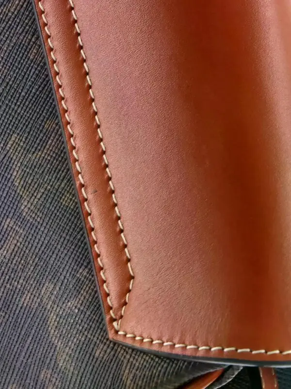 Celine Besace Leather And Triomphe Coated Canvas Small Shoulder Bag
