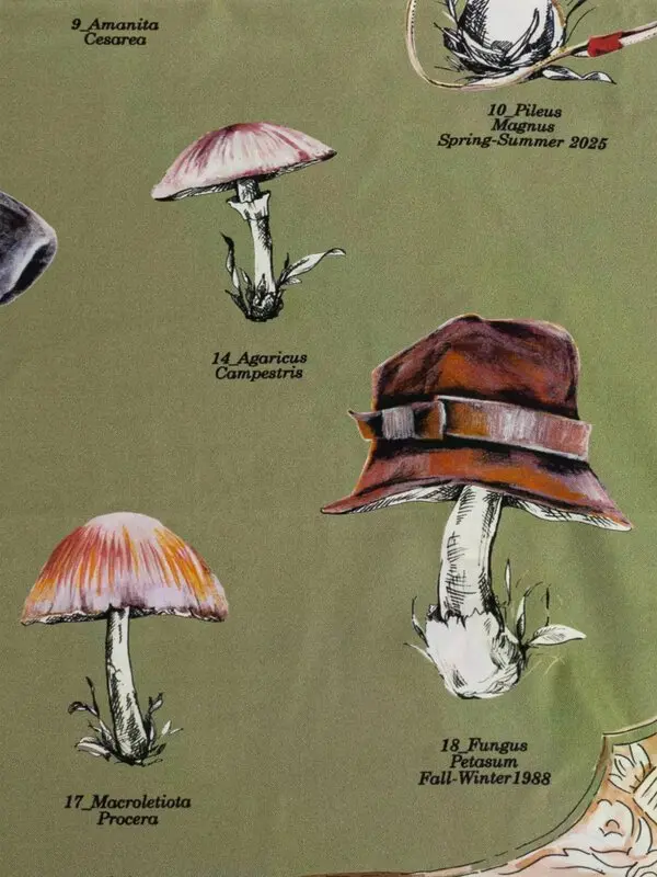 Moschino Mushroom-print Silk Scarf