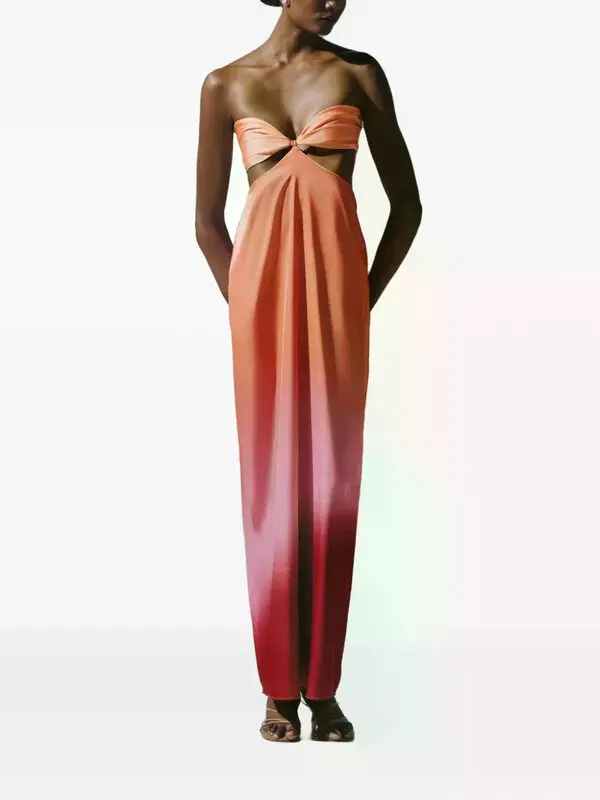 BAOBAB Riri Cutout Strapless Maxi Dress