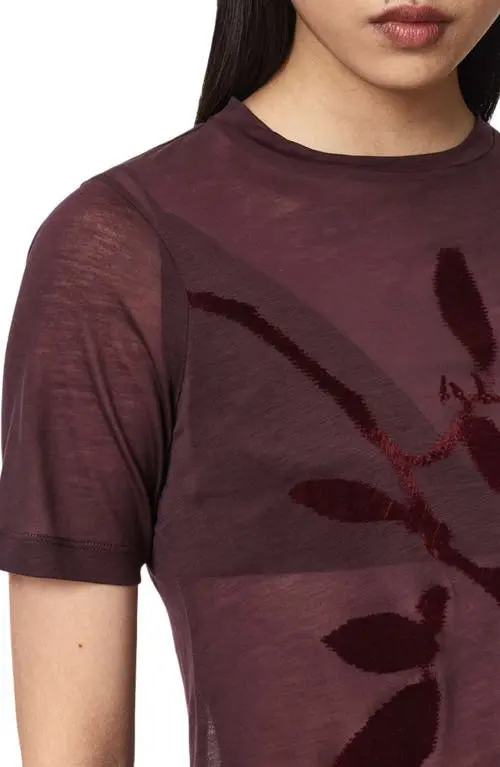 ALLSAINTS Athea Sheer Graphic Tee - Burgundy Red