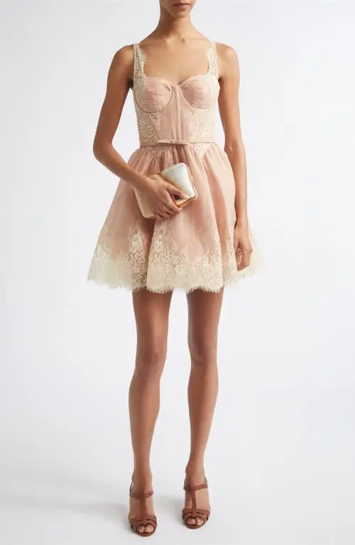 Zimmermann Valiant Lace Trim Corset Minidress