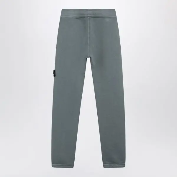 Stone Island Jogging Pants In Ash Cotton