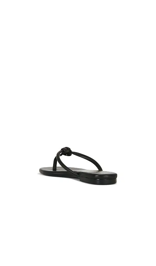 Raye Aarav Sandal