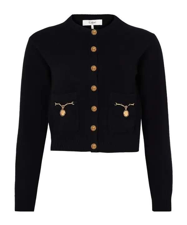 Chloé Buttoned Cardigan