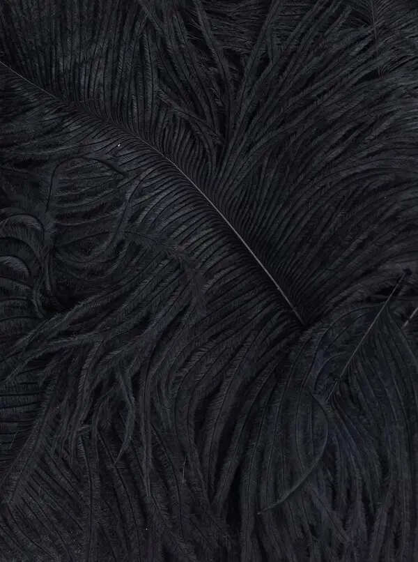 SEMICOUTURE Semi Couture Feather-trim Tech Skirt - Black