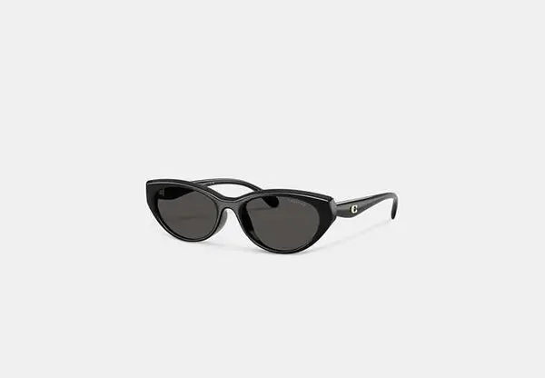 COACH C Hardware Oval Cat Eye Sunglasses - Black