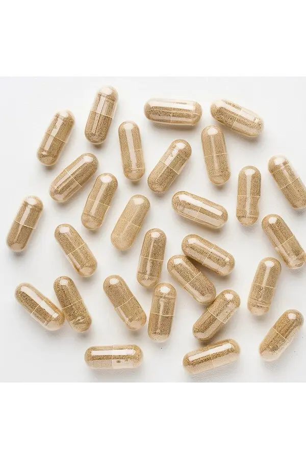 DUETTE The Supplement