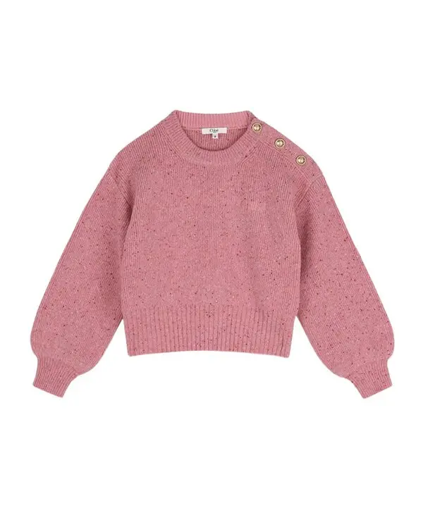 Chloé Button-detail Embroidered-logo Sweater