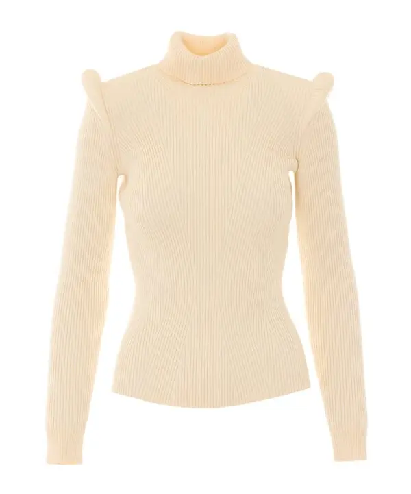 Elisabetta Franchi Knit Turtleneck Top With 3d Details