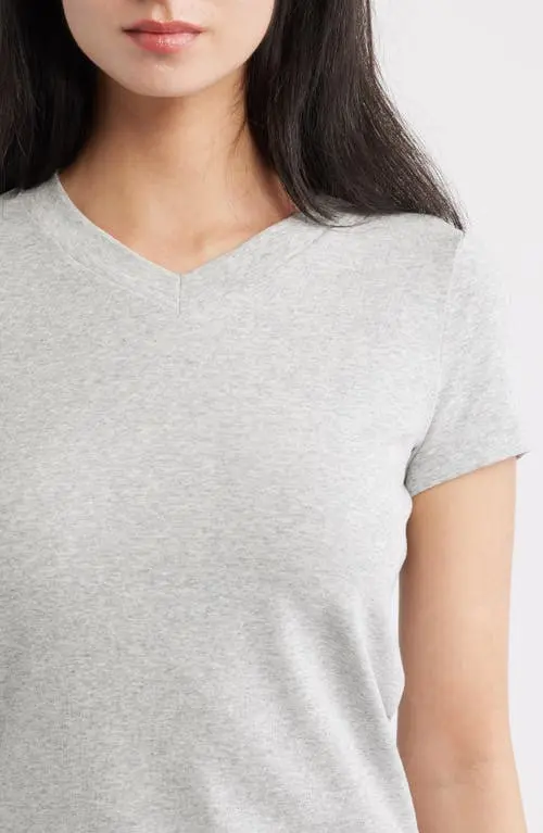 DL1961 Shrunken V-neck Tee